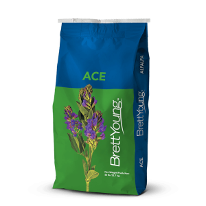 Wholesale Forage Seed Archives - BrettYoung