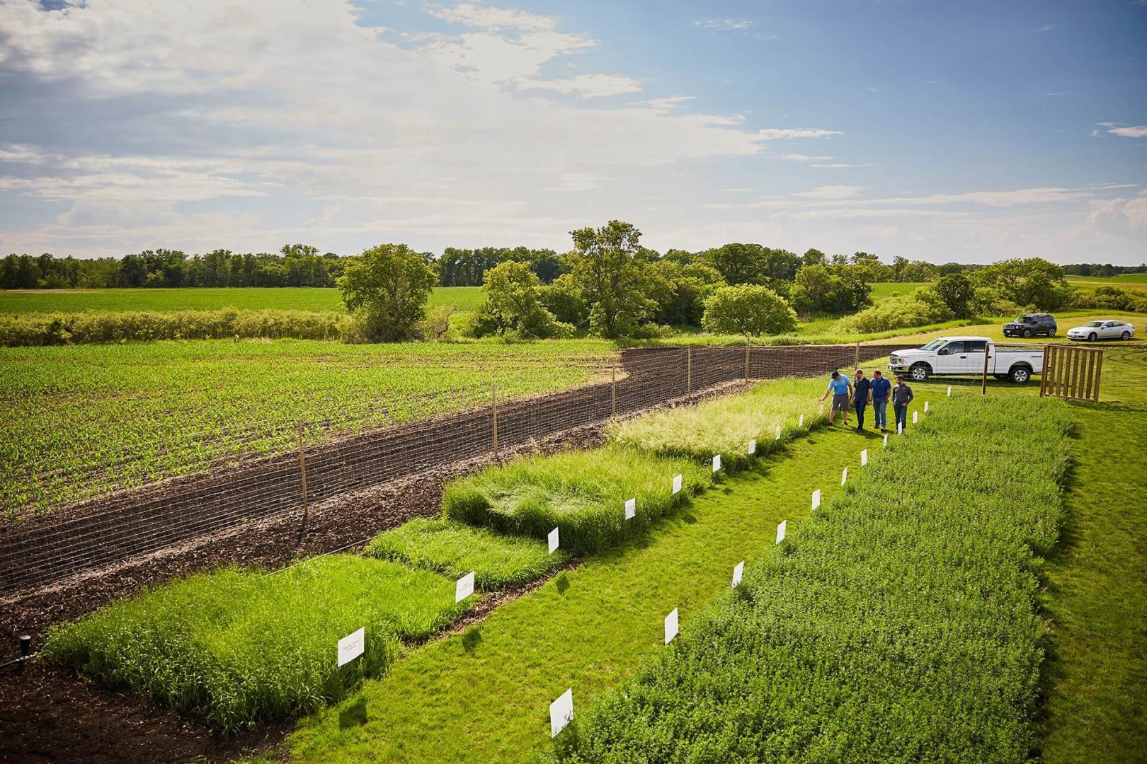 Wholesale Forage Seed Portal - BrettYoung